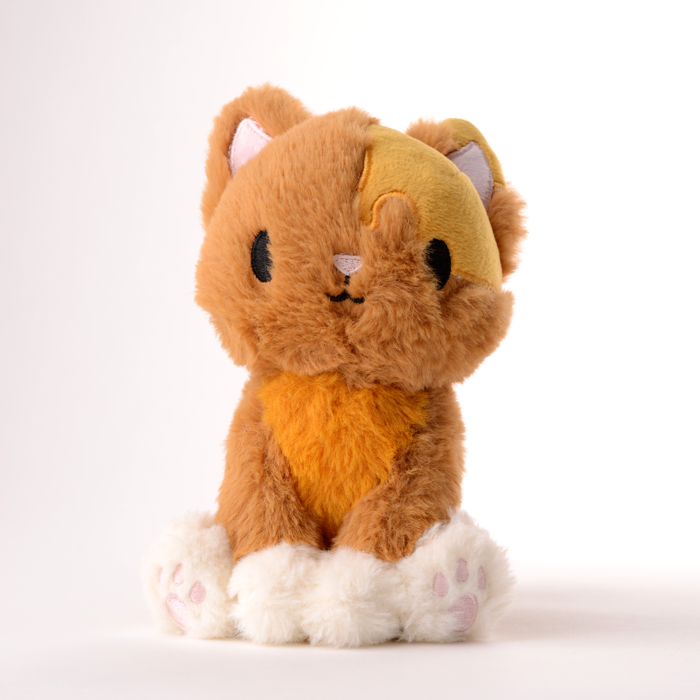 Caramel Koffee Kitten
